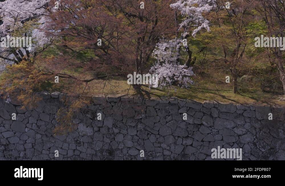 Spring castle gardens Stock Videos & Footage - HD and 4K Video Clips ...