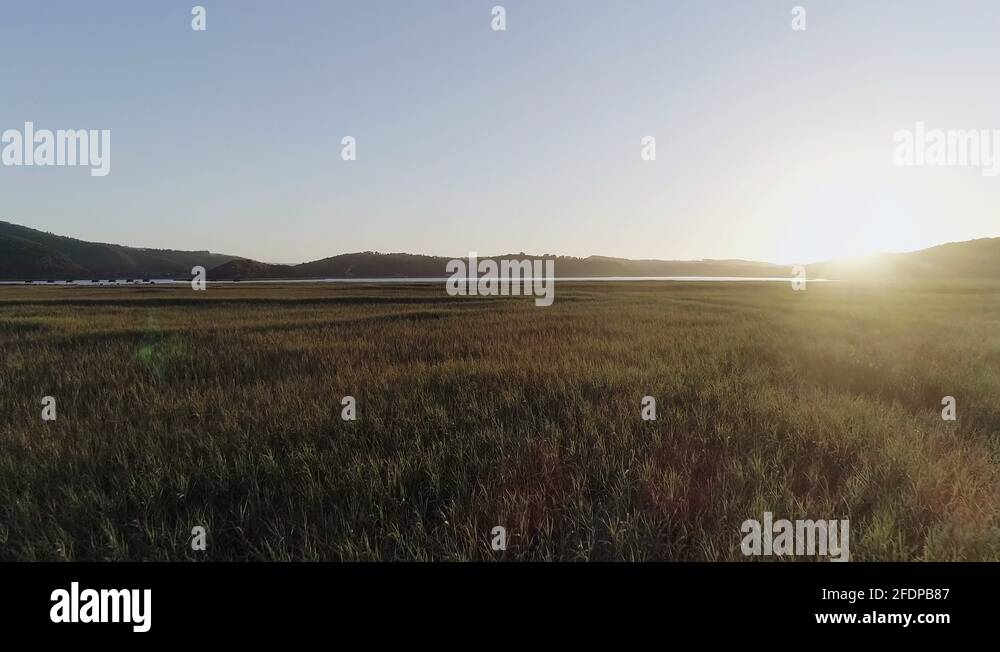 Open country landscape Stock Videos & Footage - HD and 4K Video Clips ...