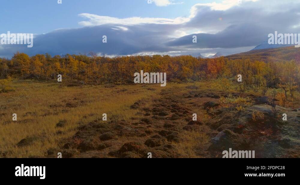 Dwarf gate Stock Videos & Footage - HD and 4K Video Clips - Alamy