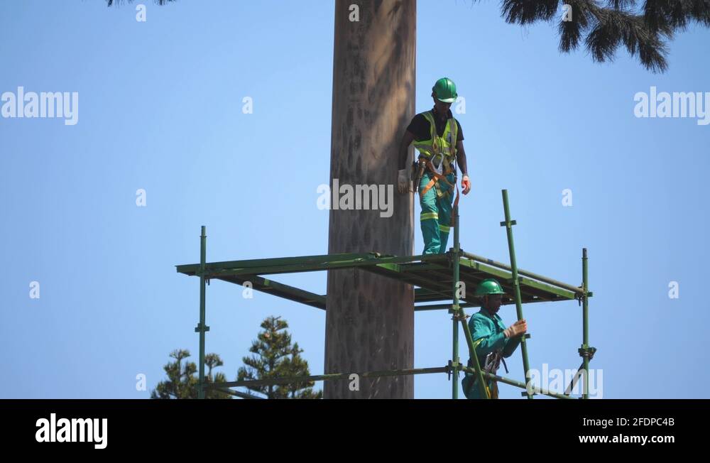 Scaffolding around building structure Stock Videos & Footage - HD and ...