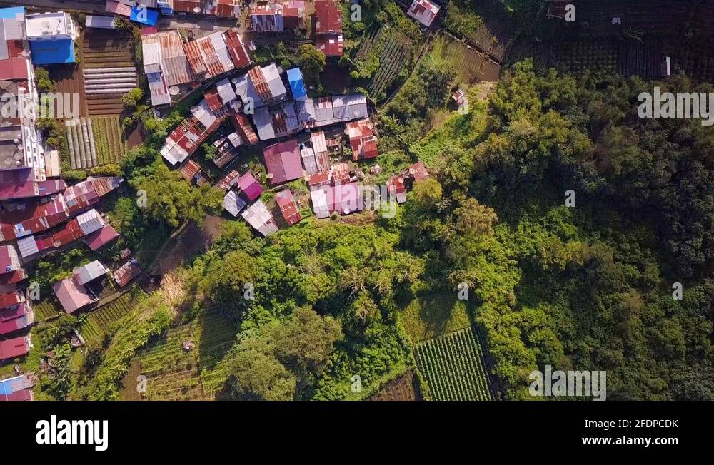 Community houses with small green vegetable farms around them in a ...