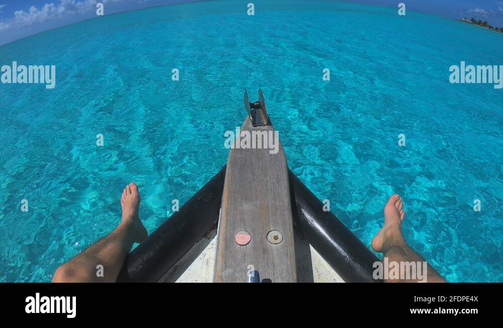 Hanging by feet Stock Videos & Footage - HD and 4K Video Clips - Alamy