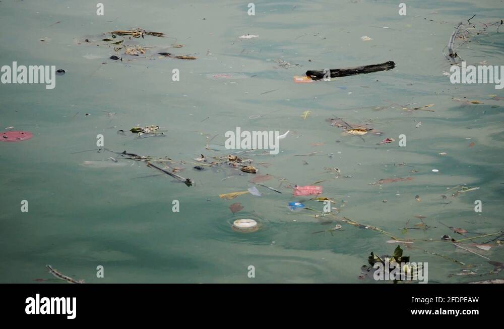 Environment environmental issue Stock Videos & Footage - HD and 4K ...