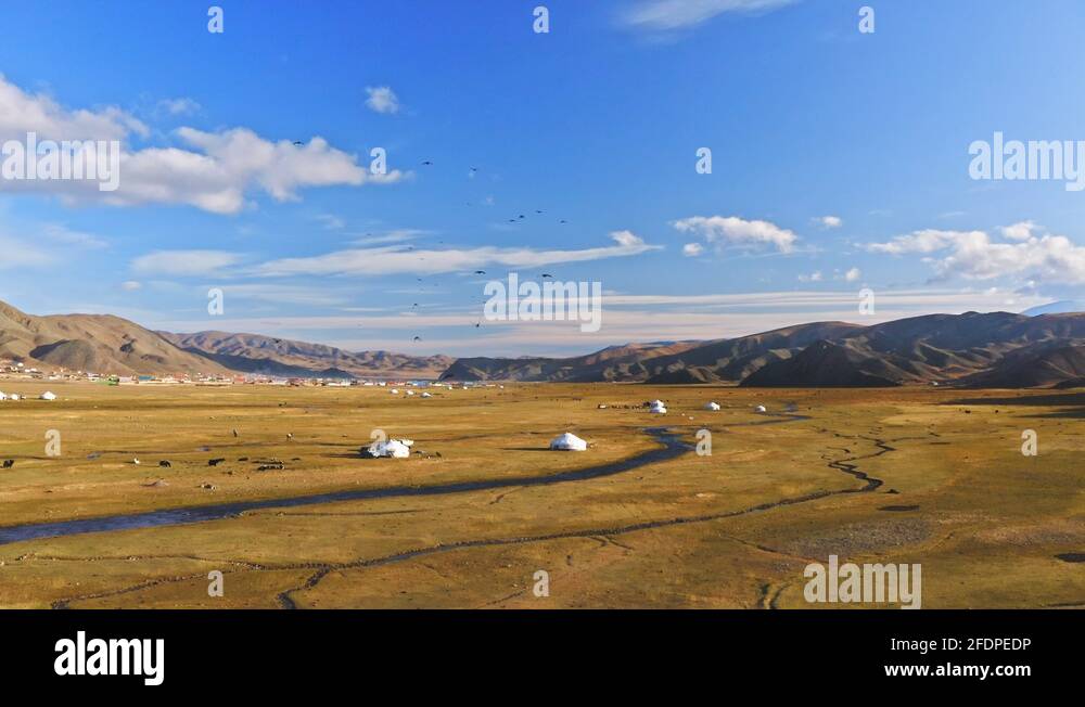 Mongolia steppe birds Stock Videos & Footage - HD and 4K Video Clips ...