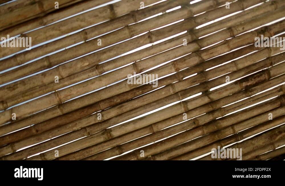 Ceiling light sticks Stock Videos & Footage - HD and 4K Video Clips - Alamy