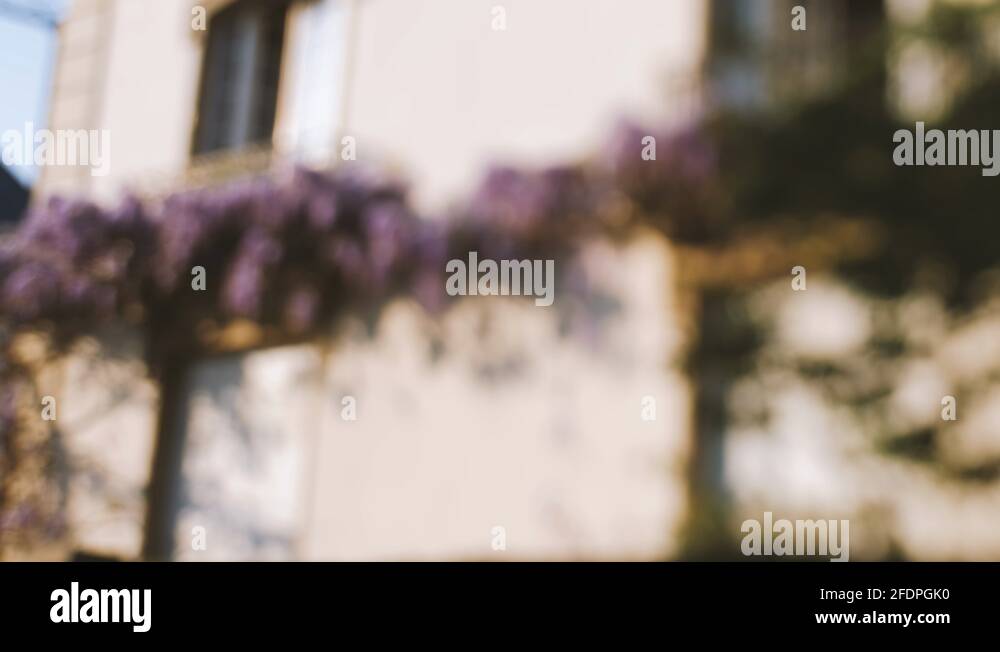Plant over house Stock Videos & Footage - HD and 4K Video Clips - Alamy