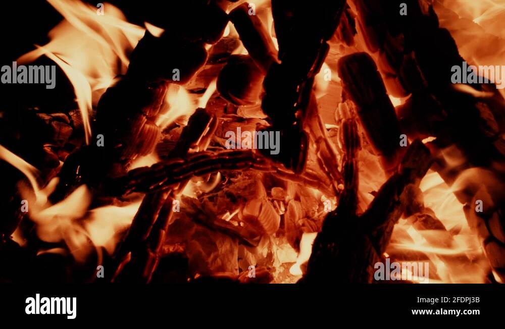 Ashen wood texture Stock Videos & Footage - HD and 4K Video Clips - Alamy