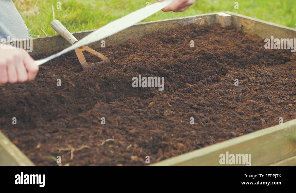 Young man placing seed strip into raised garden bed soil Stock Video ...