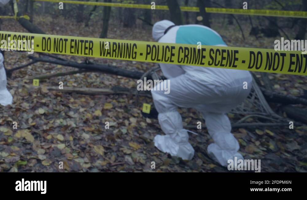 Police at crime scene Stock Videos & Footage - HD and 4K Video Clips ...