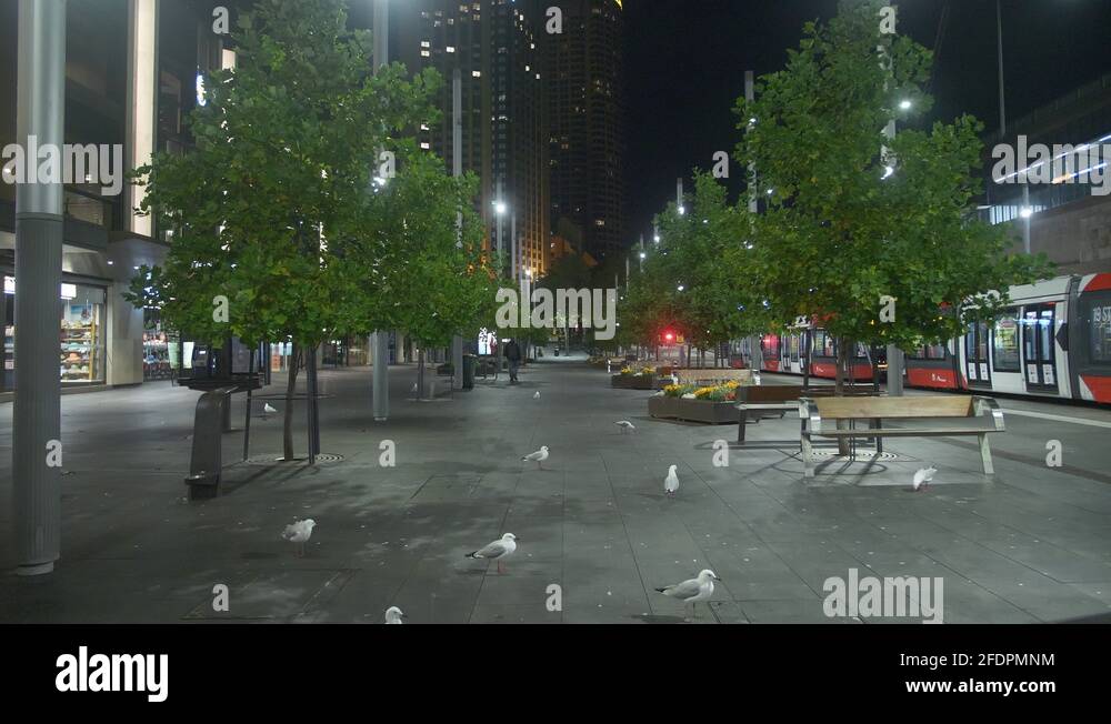 Circular quay animals Stock Videos & Footage - HD and 4K Video Clips ...