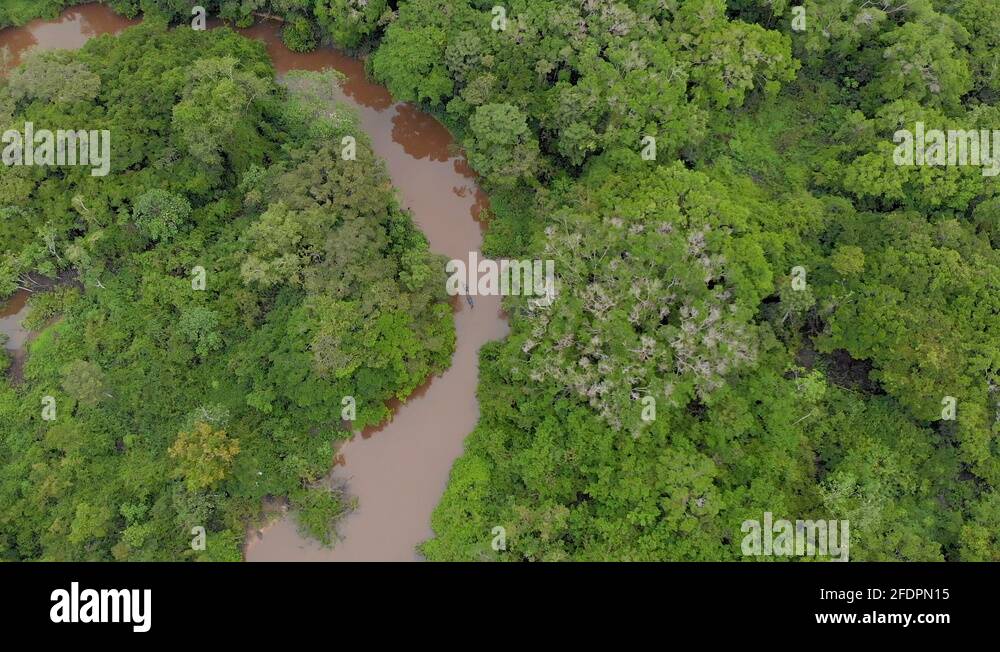 Canoe crossing at river in the amazon rainforest jungle, cenial shot ...