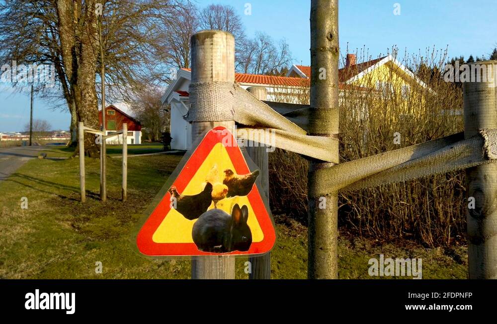 Animal road signs Stock Videos & Footage - HD and 4K Video Clips - Alamy