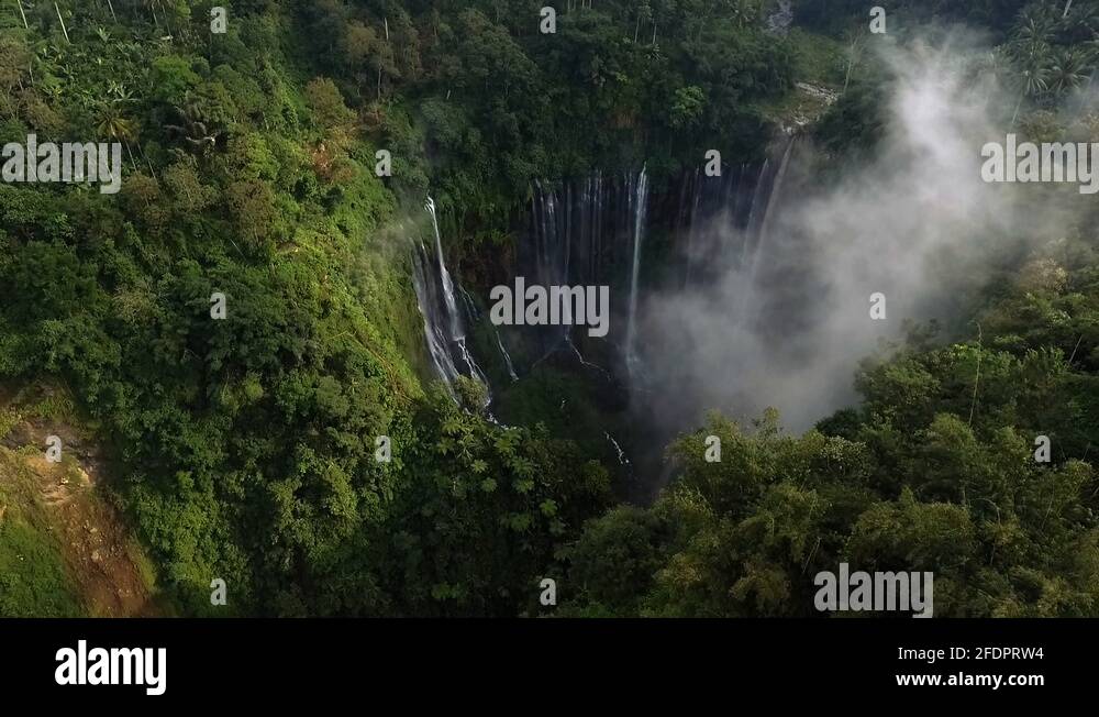 Rainforest of indonesia Stock Videos & Footage - HD and 4K Video Clips ...