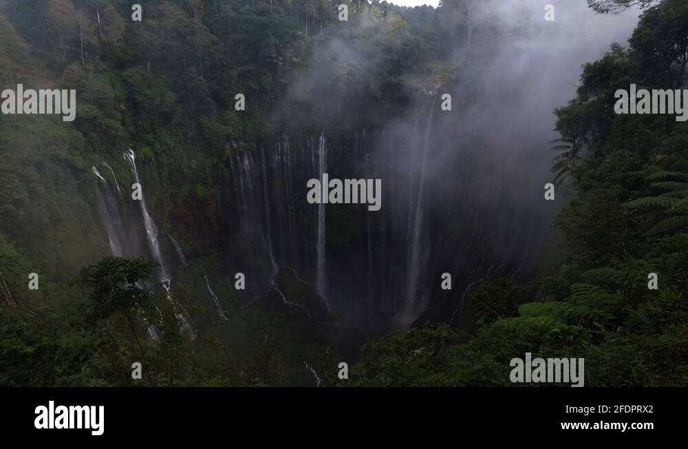 Rainforest of indonesia Stock Videos & Footage - HD and 4K Video Clips ...