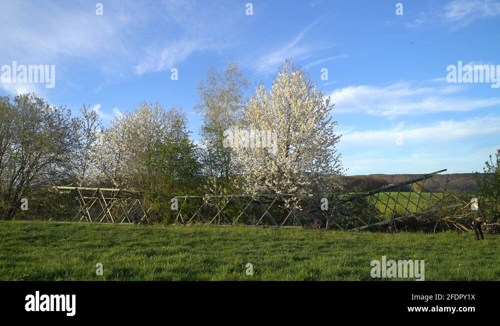 Fallen pylon Stock Videos & Footage - HD and 4K Video Clips - Alamy