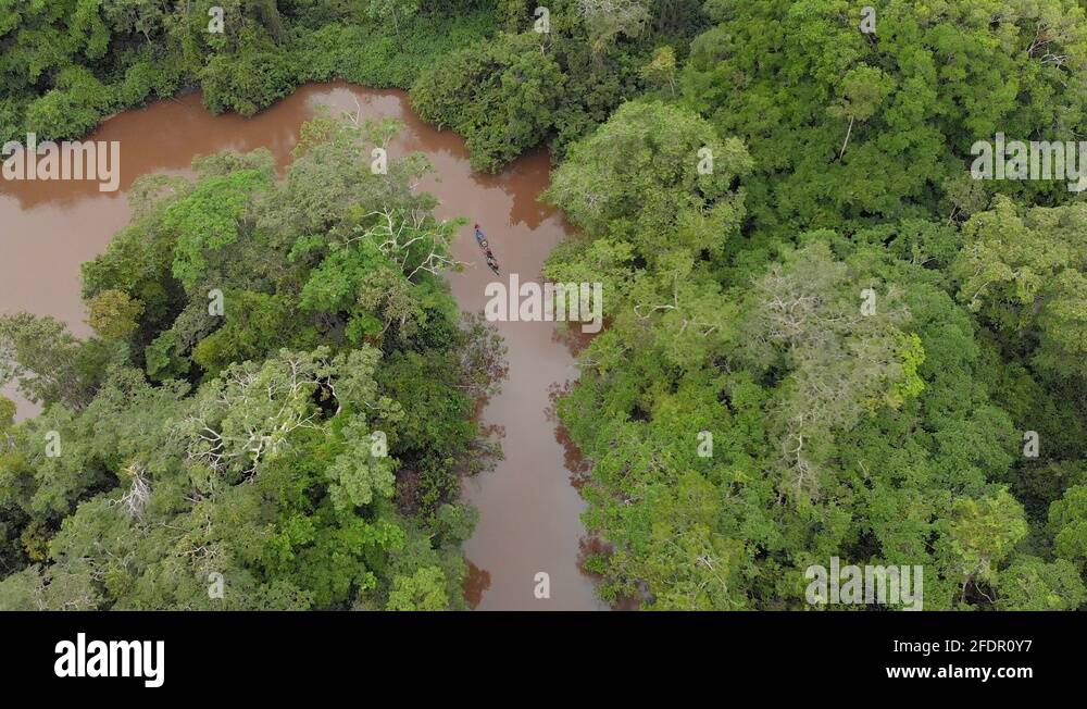 Jungle canoe Stock Videos & Footage - HD and 4K Video Clips - Alamy