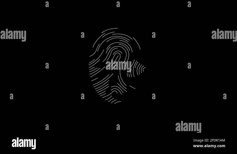 Animation of fingerprint in black and white colour, biometric scanner ...