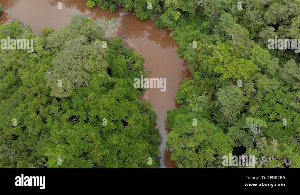 Amazon rainforest river and wildlife Stock Videos & Footage - HD and 4K ...