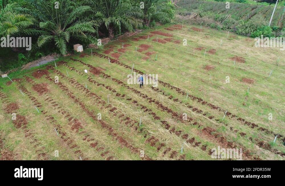 Hoe plough Stock Videos & Footage - HD and 4K Video Clips - Alamy