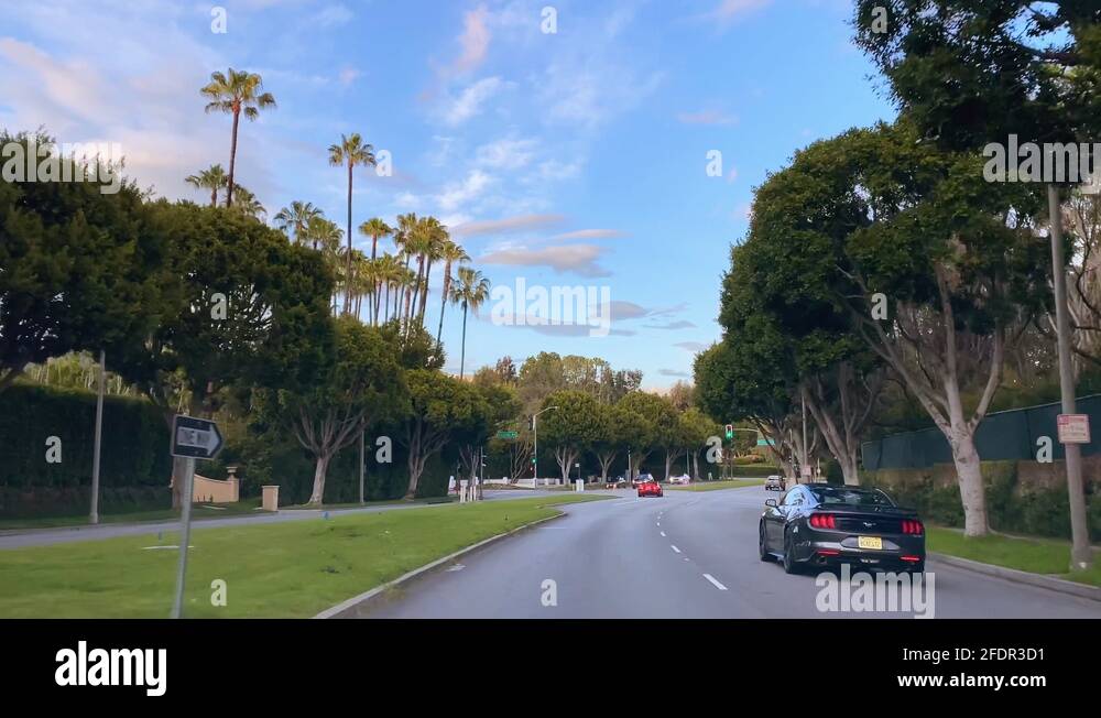 Beverly Hills tree lined streets driving along Sunset Boulevard, Los ...