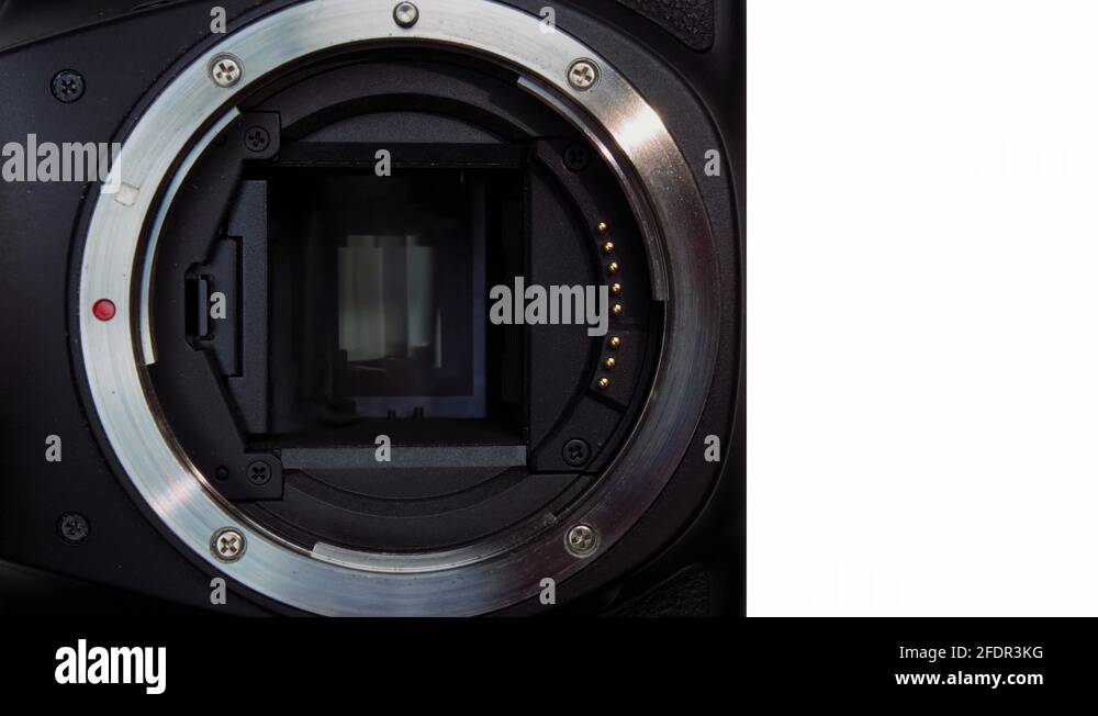 Open lens Stock Videos & Footage - HD and 4K Video Clips - Alamy