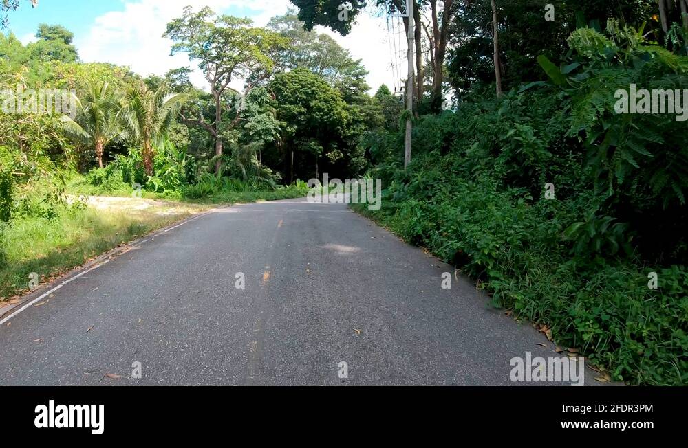 Plant of road sides Stock Videos & Footage - HD and 4K Video Clips - Alamy