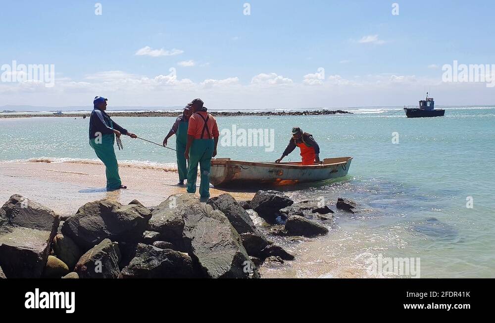 Sailors rowing boat Stock Videos & Footage - HD and 4K Video Clips - Alamy