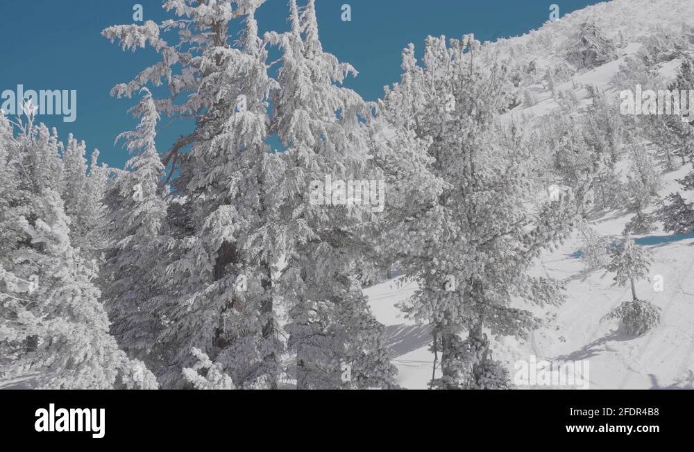 Gimbal pan Stock Videos & Footage - HD and 4K Video Clips - Alamy