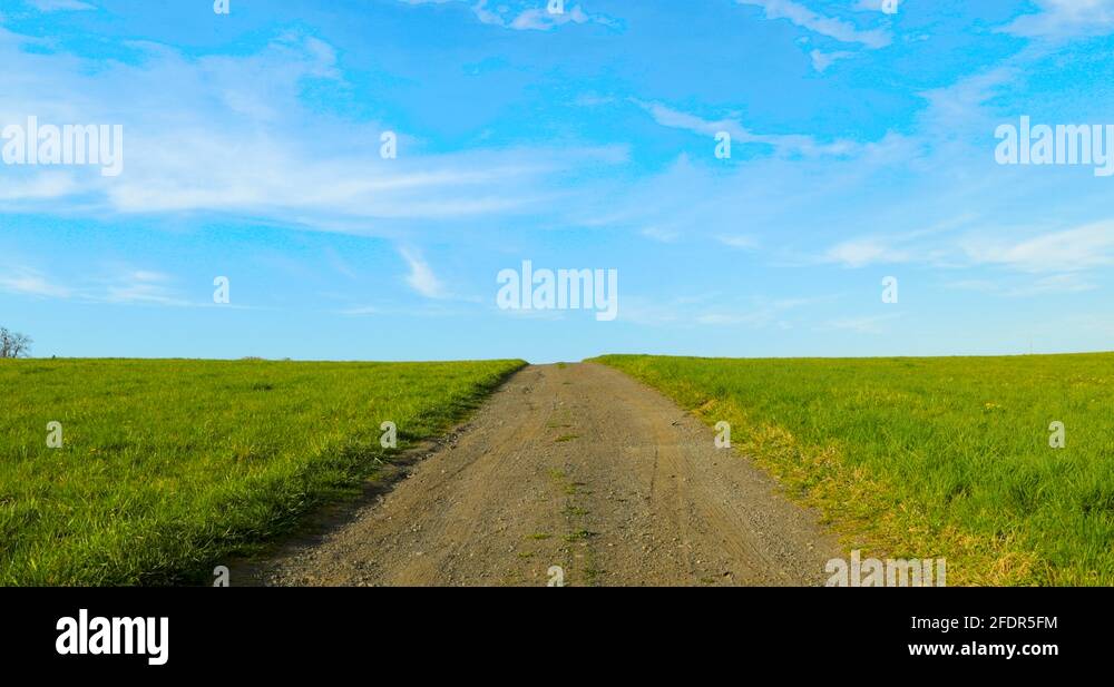 Field In Grey Gravel Paths