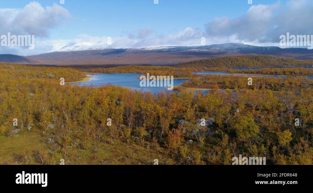 Tundra ponds aerial Stock Videos & Footage - HD and 4K Video Clips - Alamy