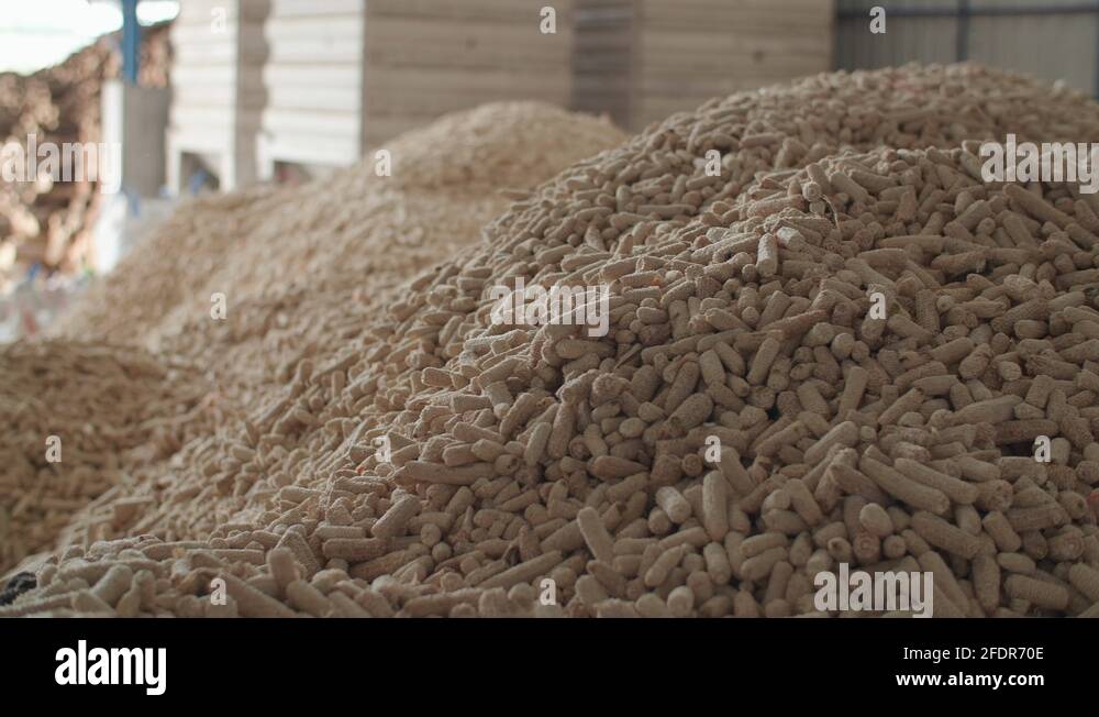 Corn maize cobs Stock Videos & Footage - HD and 4K Video Clips - Alamy