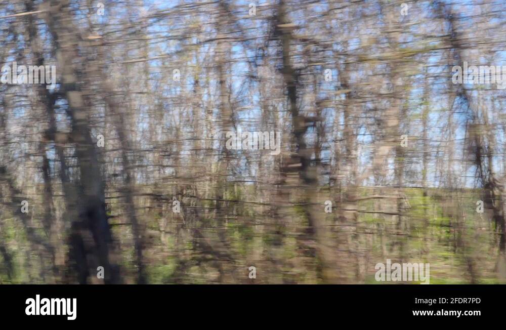 Forest fast view from vehicle Stock Videos & Footage - HD and 4K Video ...