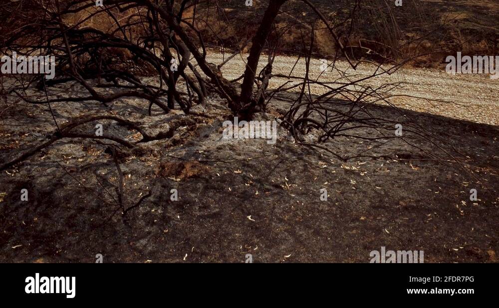 Fire path australia Stock Videos & Footage - HD and 4K Video Clips - Alamy
