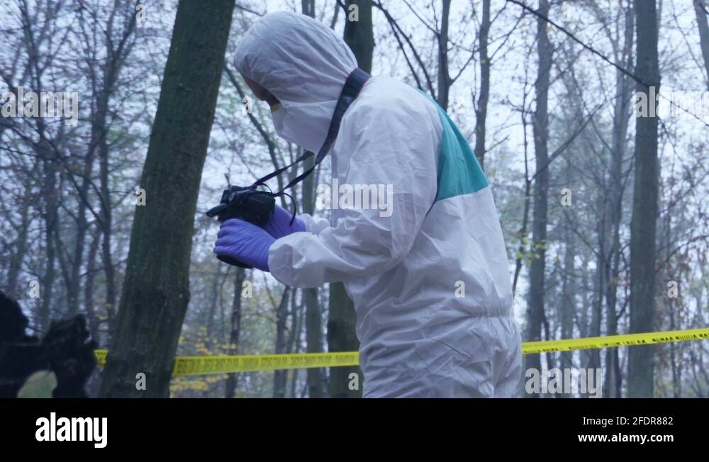 Photo investigator Stock Videos & Footage - HD and 4K Video Clips - Alamy