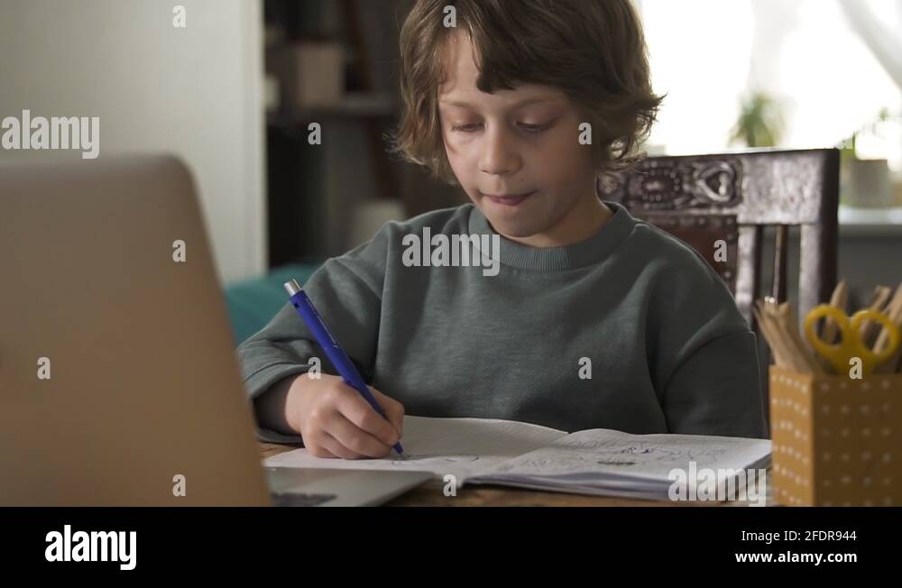 E learning student boy Stock Videos & Footage - HD and 4K Video Clips ...