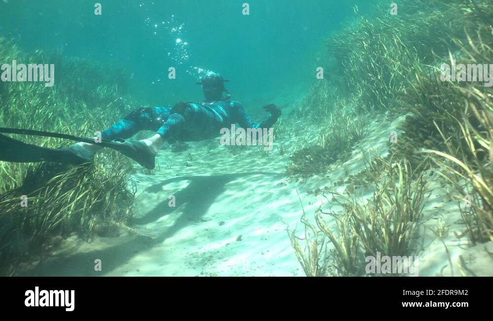 Pathway underwater Stock Videos & Footage - HD and 4K Video Clips - Alamy