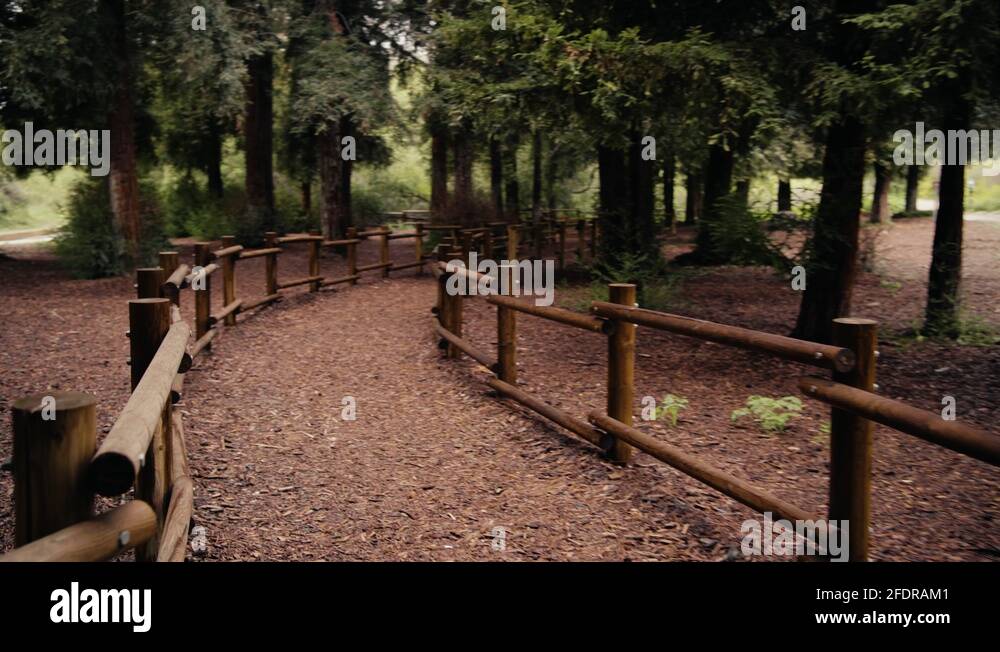 Human pathway Stock Videos & Footage - HD and 4K Video Clips - Alamy
