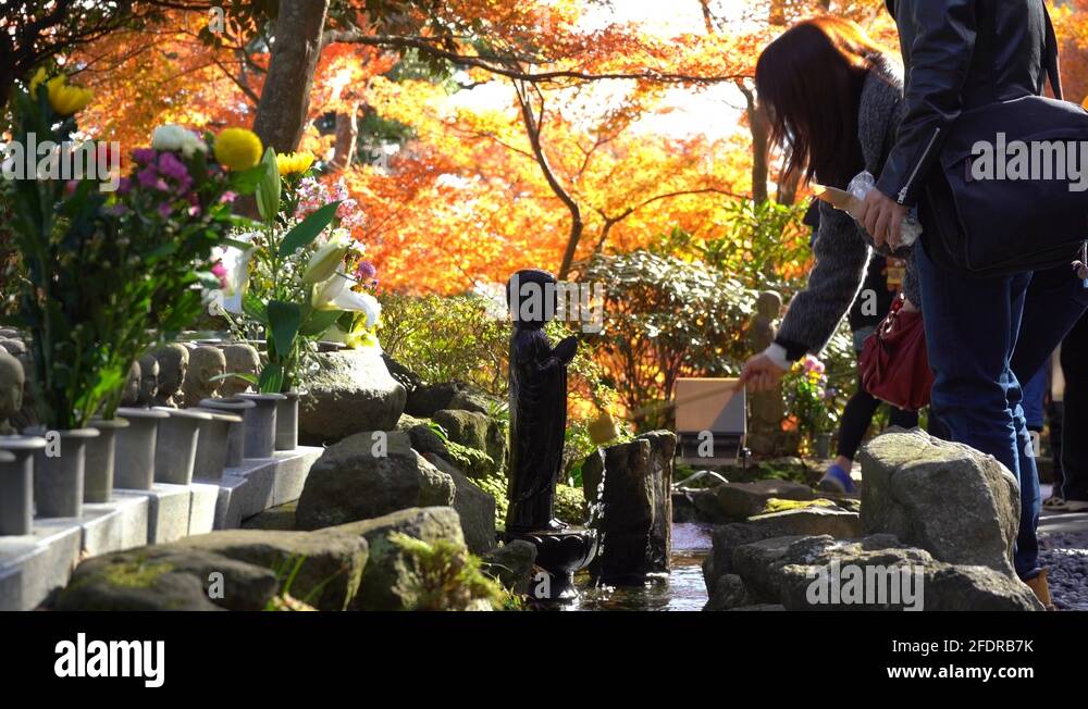 Water pouring sculpture Stock Videos & Footage - HD and 4K Video Clips ...