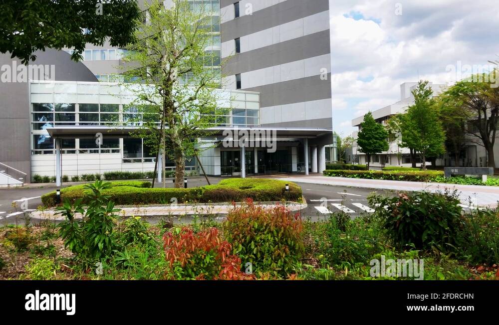 Japanese office Stock Videos & Footage - HD and 4K Video Clips - Alamy