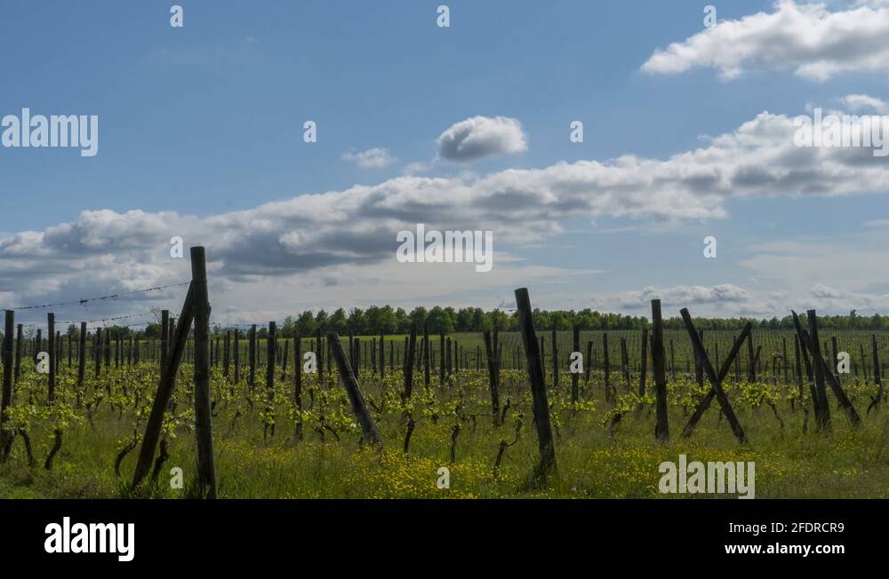 A typical italian spring Stock Videos & Footage - HD and 4K Video Clips ...