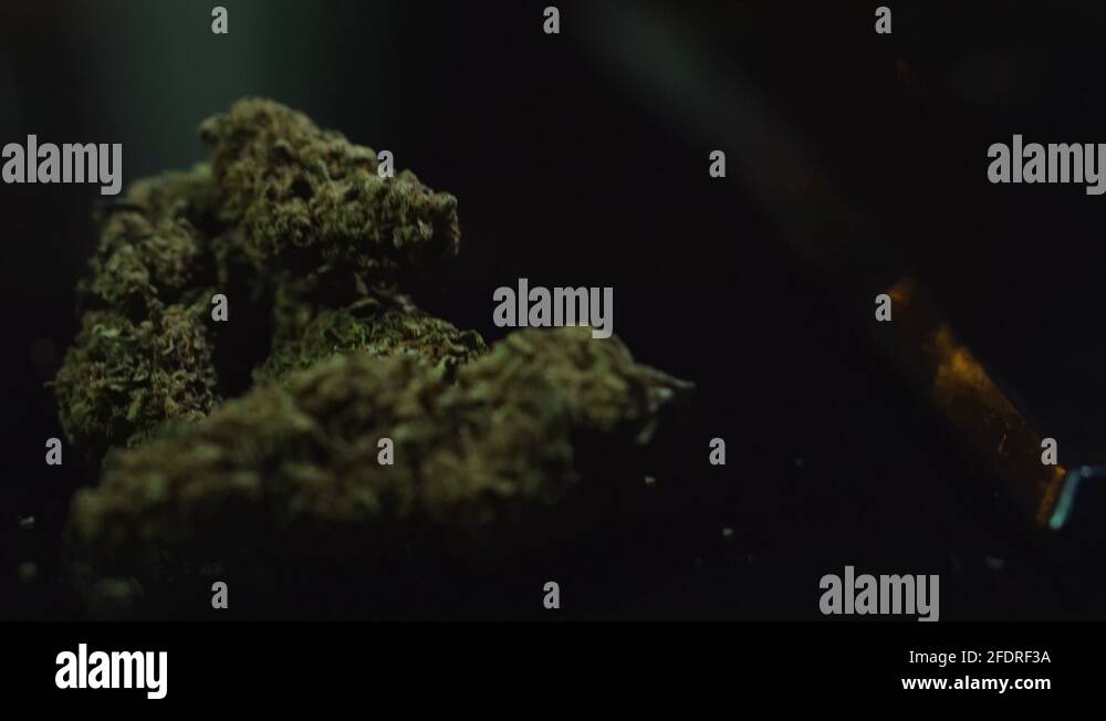 Weed nugs Stock Videos & Footage - HD and 4K Video Clips - Alamy