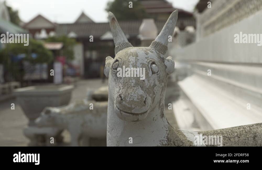 Stone cow sculpture Stock Videos & Footage - HD and 4K Video Clips - Alamy