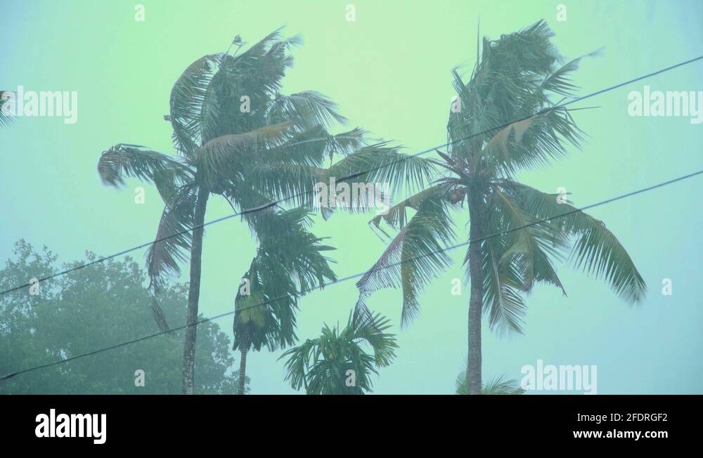 Cyclone damage australia Stock Videos & Footage - HD and 4K Video Clips ...