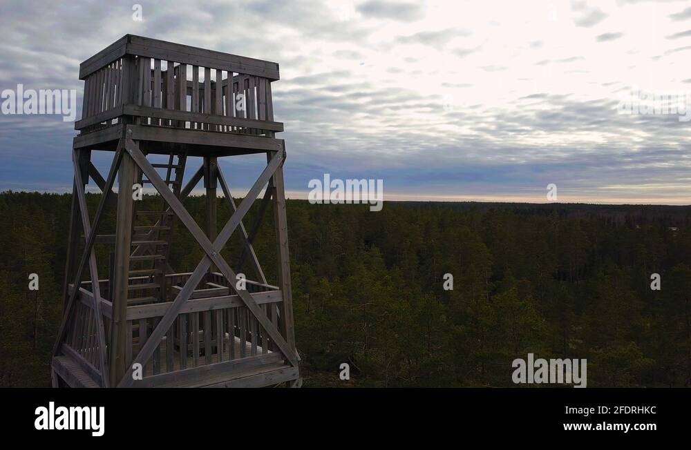 Aerial, Wooden Viewpoint tower In the forest hiking trail nature in ...