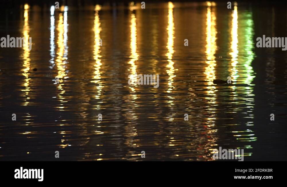 Water focus Stock Videos & Footage - HD and 4K Video Clips - Alamy