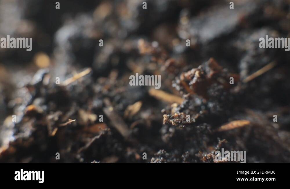 Water soaked soil Stock Videos & Footage - HD and 4K Video Clips - Alamy