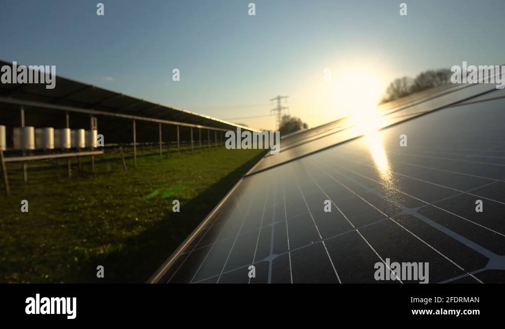Solar farm sunset reflecting on solar panels generating electricity ...