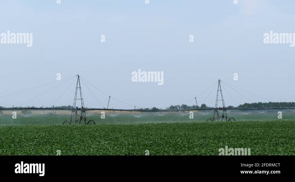 Plant food system Stock Videos & Footage - HD and 4K Video Clips - Alamy
