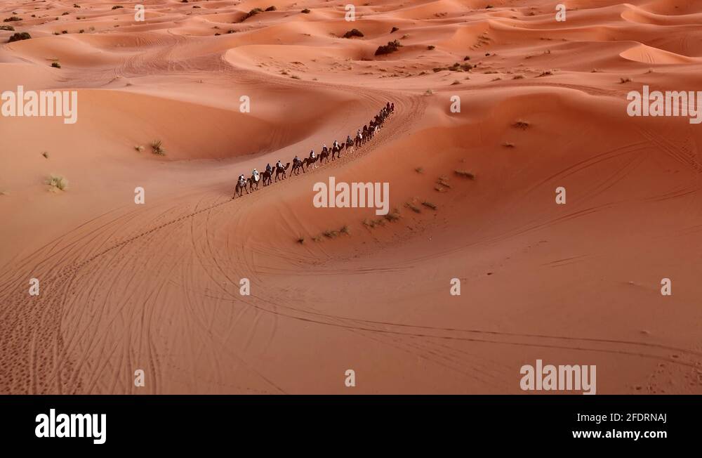 Camel trail Stock Videos & Footage - HD and 4K Video Clips - Alamy