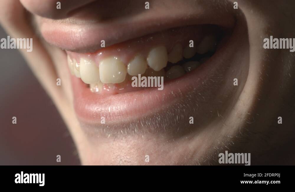Great white teeth open Stock Videos & Footage - HD and 4K Video Clips ...